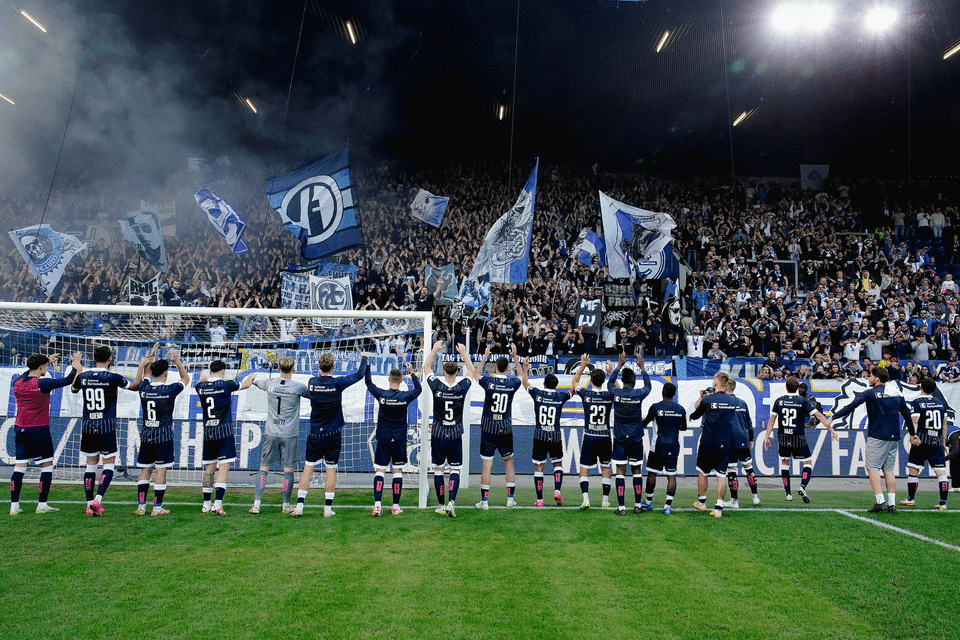 FCL Fan-Umfrage - FC LUZERN